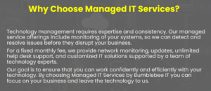 Home - Bumblebee IT Services